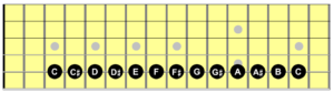 Music Theory Fundamentals: Chromatic Scale - Notes on a Guitar